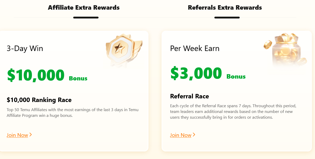 Make Money with Temu - HOW I Made $10,432/Month on TEMU Doing NOTHING